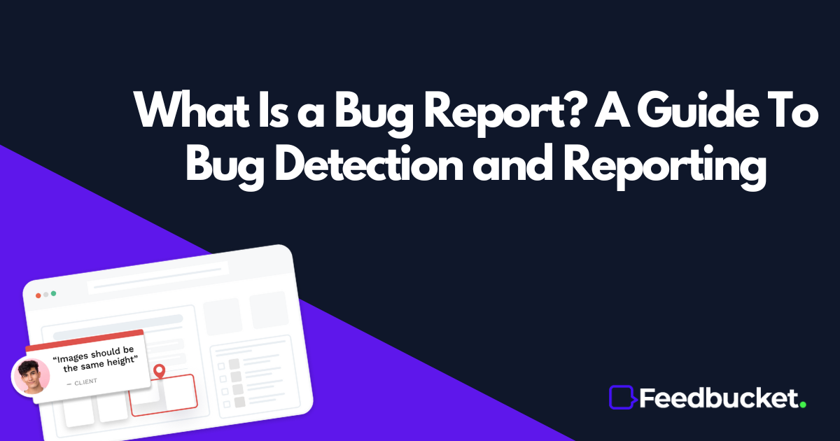 What Is a Bug Report? A Guide To Bug Detection and Reporting